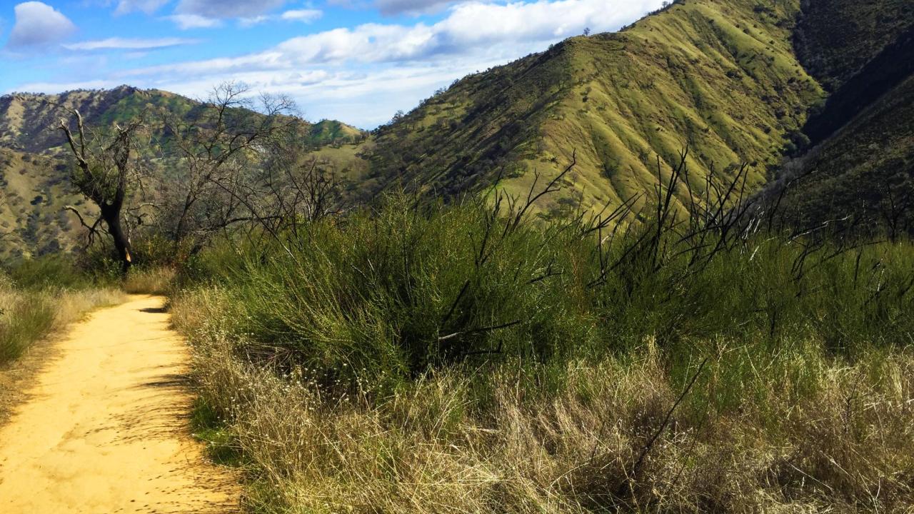 Stebbins Reserve Information | UC Davis Natural Reserves